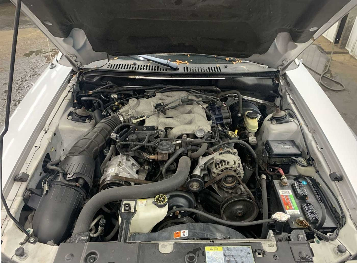 1999-2004 Ford Mustang Hood Engine Bay Fender Bumper Rubber Stops Pair ...